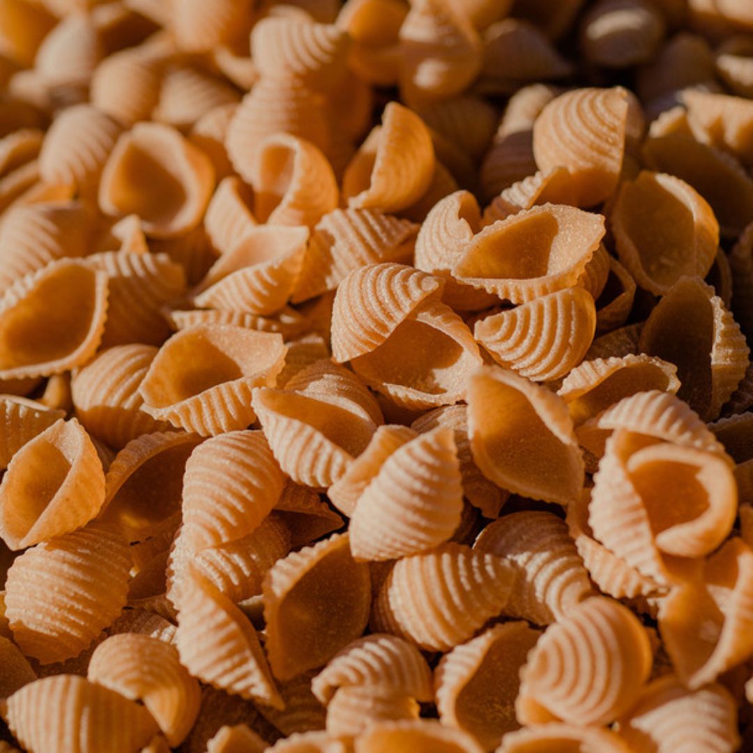 Spelt pasta shells – Nourish Wholefoods
